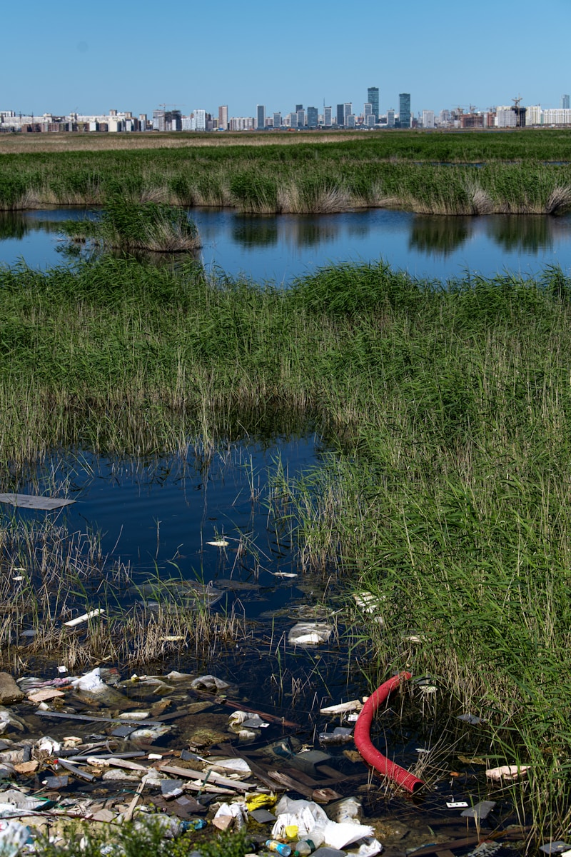 Shell Niger Responsibility: 5 shocking Oil Pollution Facts